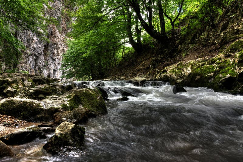 River Bed stock photo. Image of forest, water, bigar - 41628640