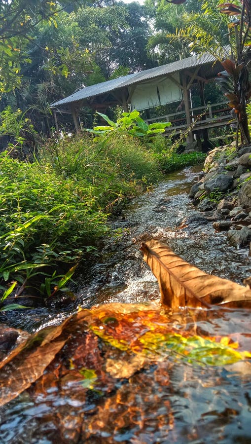 River in behind my home stock photo. Image of stream - 230351080