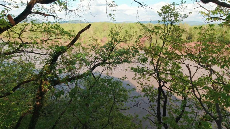River Behind Tree stock footage. Video of suburb, village - 248110094