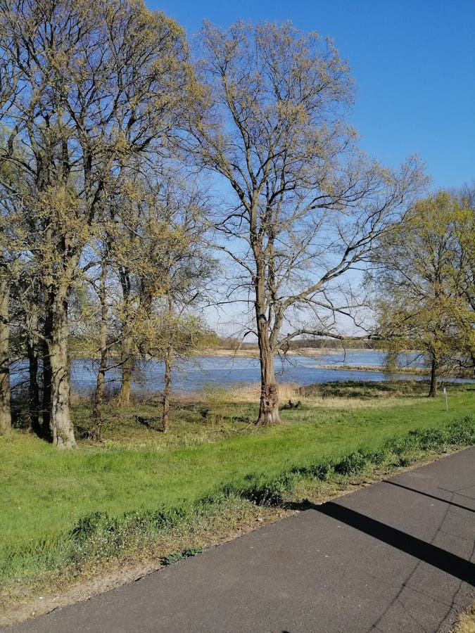 River behind trees stock image. Image of blue, meadow - 180011201