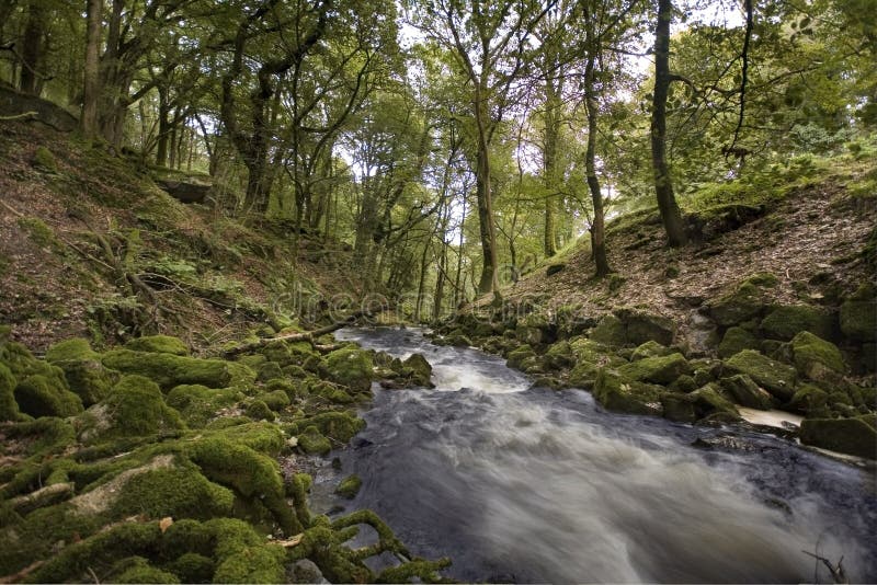 River below Burrator Dam stock photo. Image of devon - 13091992