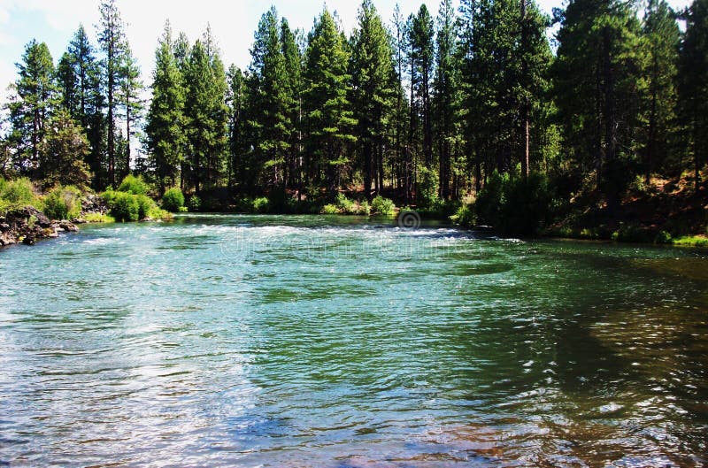 River in Bend Oregon stock photo. Image of quiet, growth - 53836304