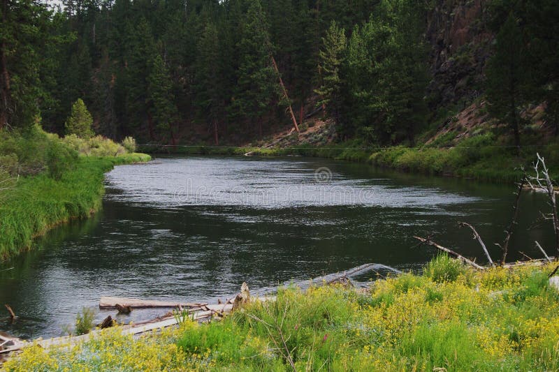 River in Bend Oregon stock photo. Image of fall, calm - 53836936