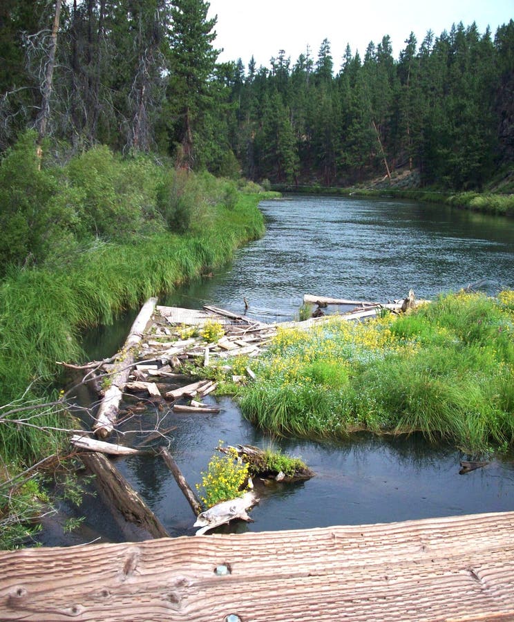 River in Bend Oregon stock image. Image of fall, quiet - 53836961