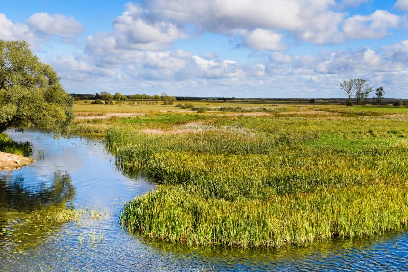 River Biebrza, Podlasie-Poland Stock Photo - Image of colorful ...