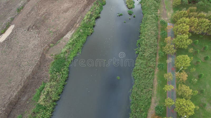 River and birds stock footage. Video of beauty, pond - 259467884