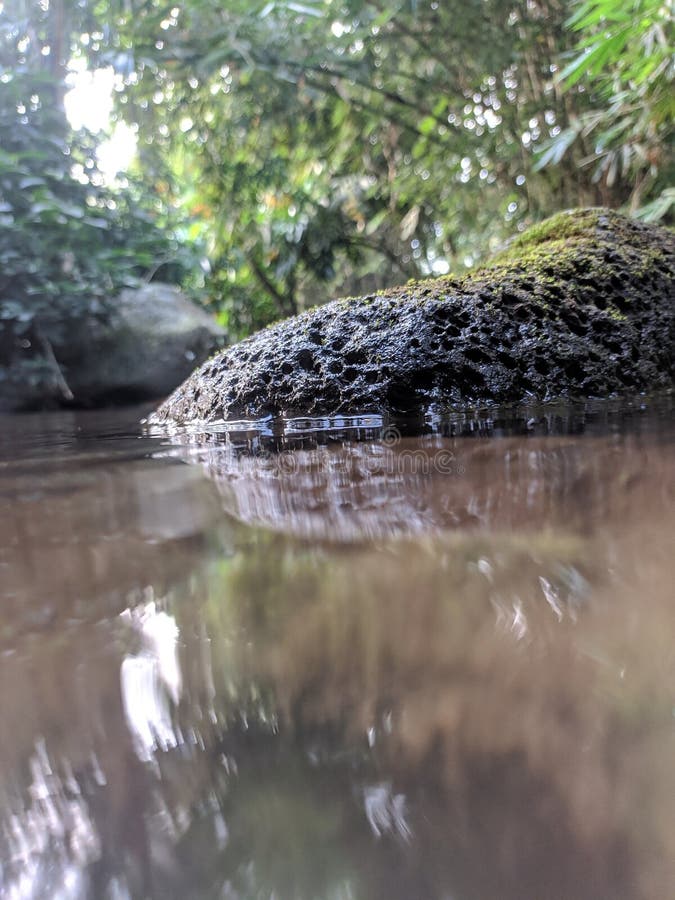 River and Black Rocks in the Bamboo Forest Stock Photo - Image of rock ...