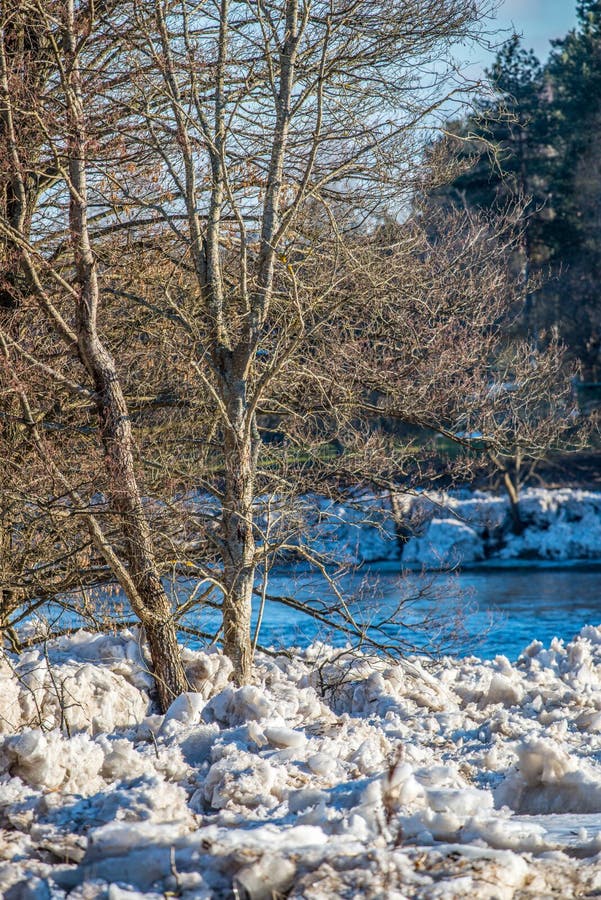 River blue water and tree stock image. Image of tree - 112706245