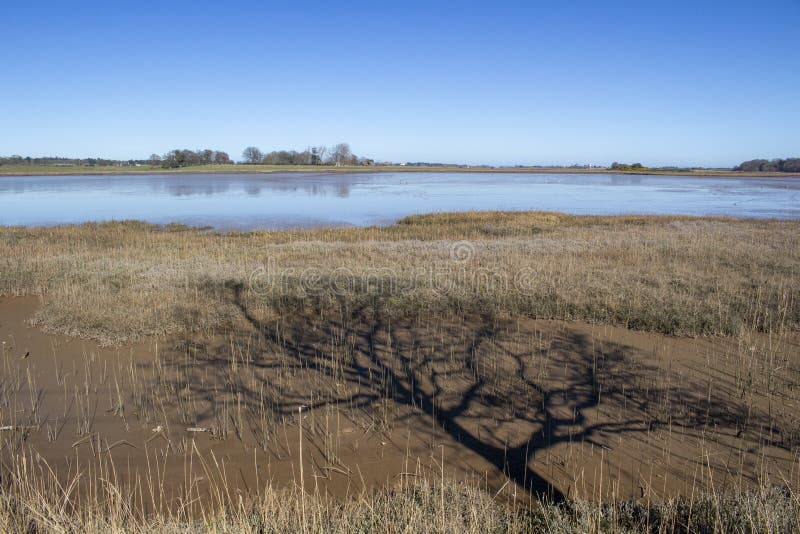 River Blyth, Suffolk, England, United Kingdom Stock Photo - Image of ...