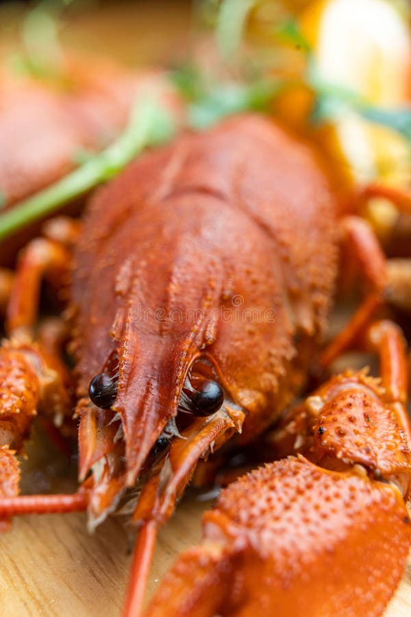 River Boiled Crayfish. Red Cooked Crayfish Stock Image - Image of ...