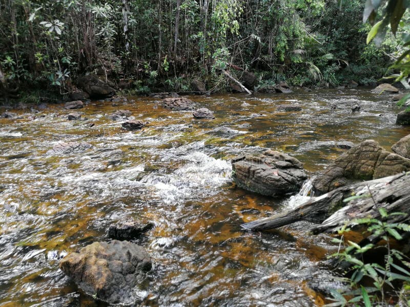 A River in Borneo Malaysia stock photo. Image of river - 165003912