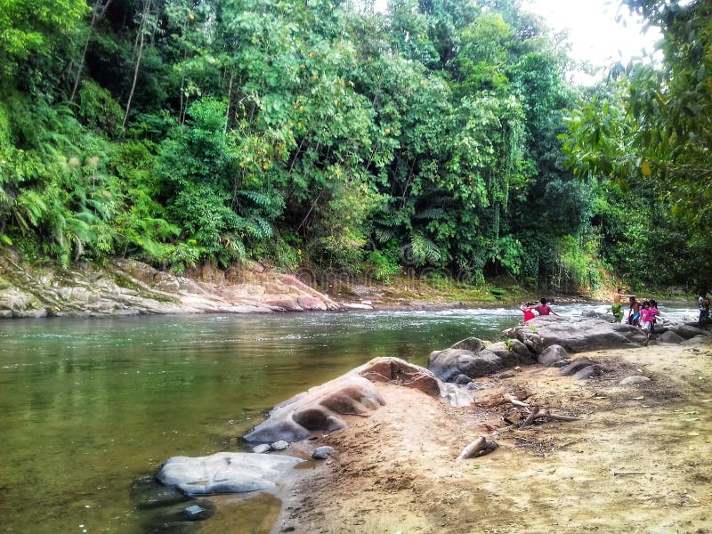 A river in Borneo editorial stock image. Image of water - 230449704