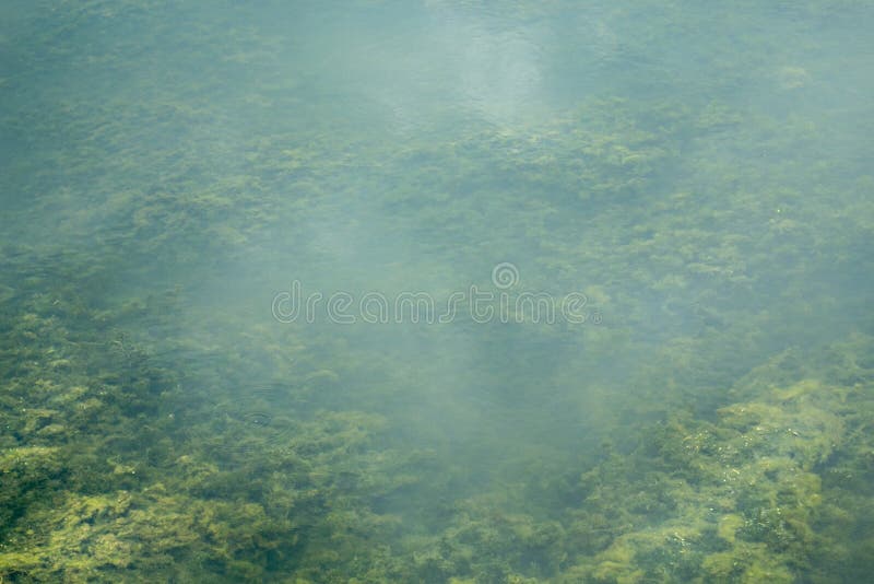 River Underwater Rocks on a Shallow River Stock Image - Image of green ...