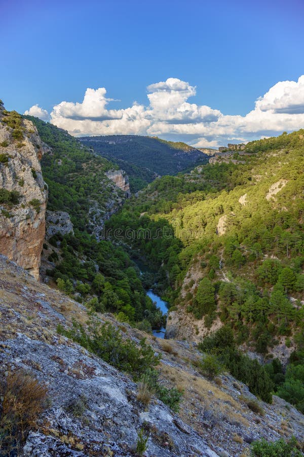 A River at the Bottom of a Canyon with Lots of Vegetation Stock Photo ...