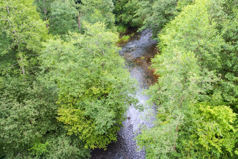 The River Bottom Under the Bridge, Forest Small River Stock Photo ...