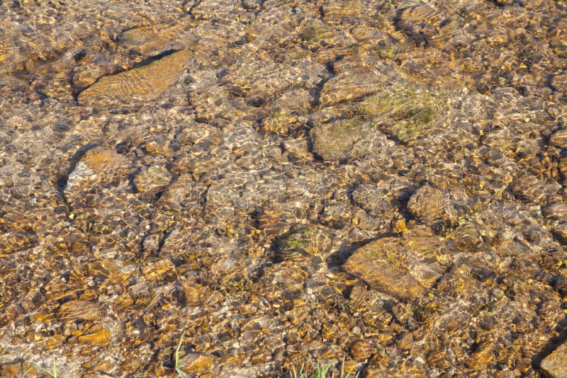 River bottom stock photo. Image of stone, flowing, clean - 81209054