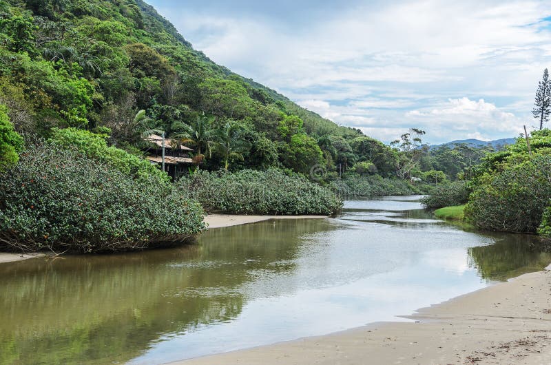 River with a Brackish Water that Passes by the Side of a Mountain Stock ...