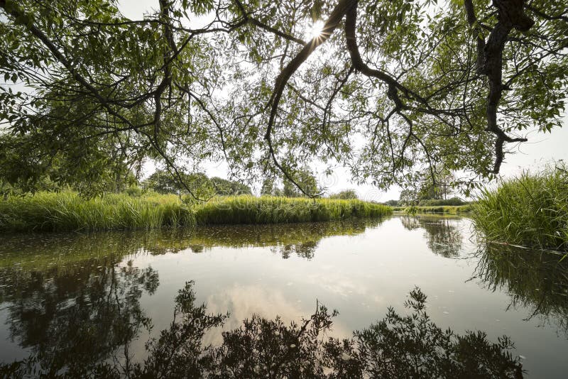River and Branches of Tree Hanging Over Water Stock Photo - Image of ...