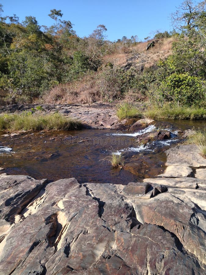 River in Brazil stock image. Image of adventure, brazil - 264071917