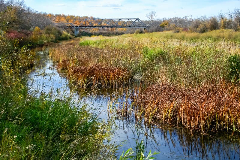 A River with a Bridge Over it and a Field of Tall Grass Stock Photo ...