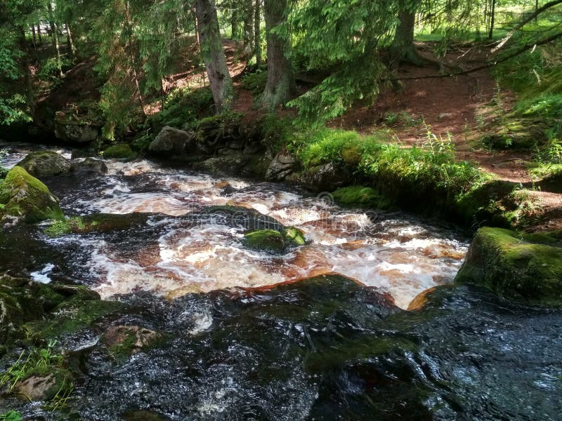 River with Brown Water in the Forrest of Sumava Mountains Stock Photo ...