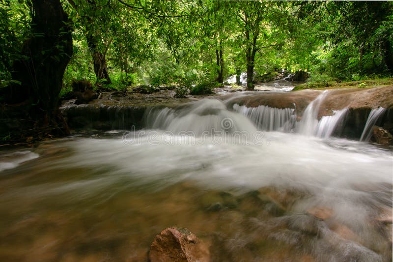 A River with a Brownish Rocky Bottom in a Tropical Forest. Editorial ...