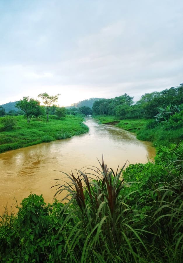 The river in the bush stock photo. Image of nature, bush - 277665986