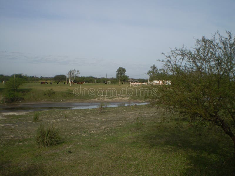 River in the bush stock image. Image of settlementsn - 135823429