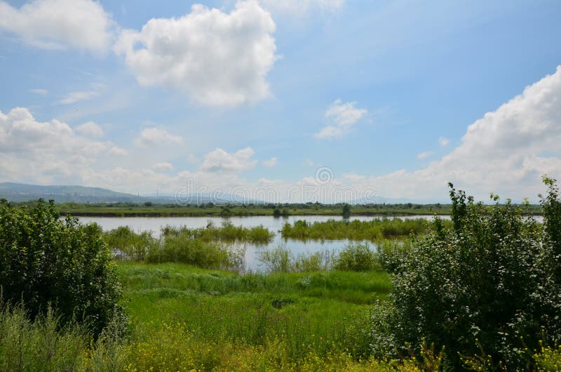 A River with Bushes Panorama Stock Photo - Image of peace, hill: 229883740