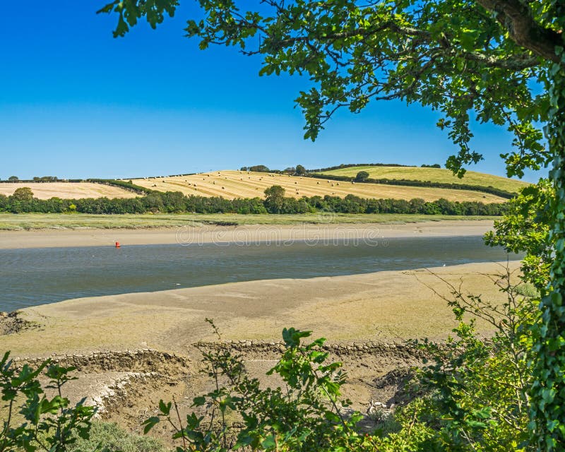 River Camel from the Camel Trail Cornwall England UK Stock Image ...