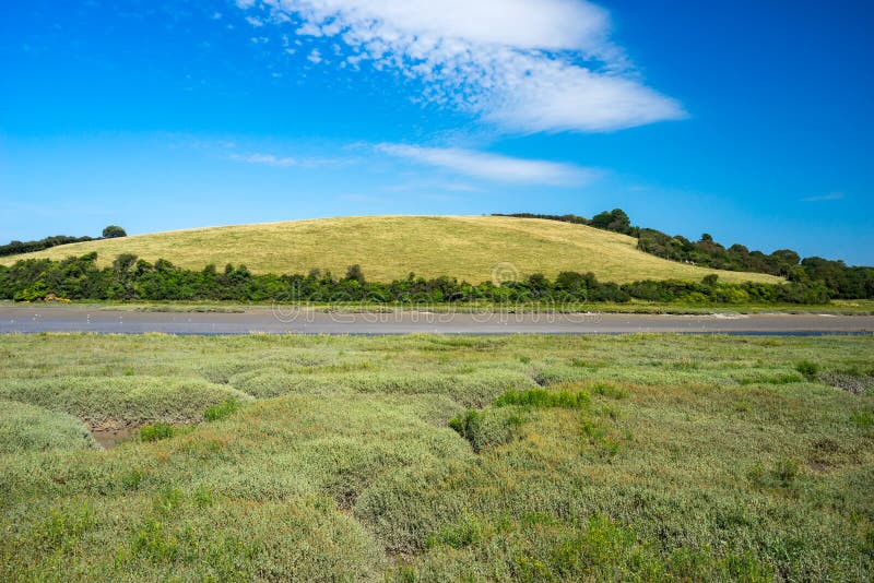 River Camel from the Camel Trail Cornwall England UK Stock Photo ...