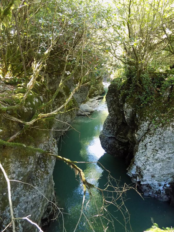 River Canyon and Blue Water. Martvili Canyon, Georgia Stock Image - Image of plant, river: 282507959