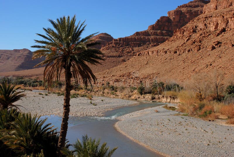 River in Canyon Gorge Morocco Stock Photo - Image of river, stone: 7100238