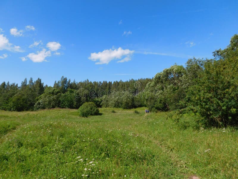 River canyon Sablino stock photo. Image of nature, region - 74469096