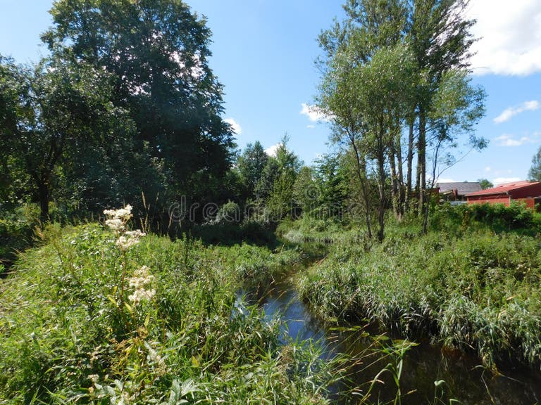 River canyon Sablino stock photo. Image of river, journey - 74469134