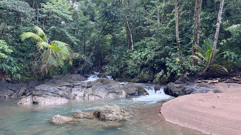 River Cascade in a Dense Jungle in Costa Rica Stock Image - Image of ...