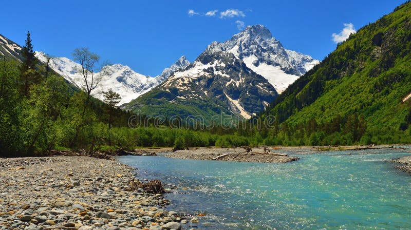 River in Caucasus stock photo. Image of landscape, birch - 31624974