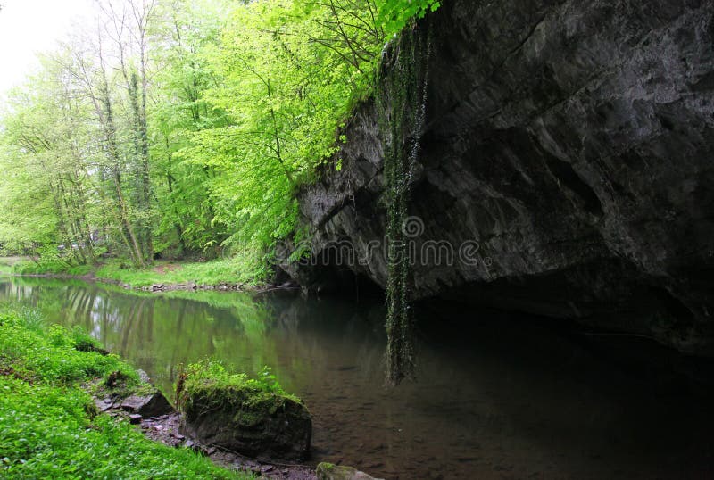 River from cave stock photo. Image of flow, flowing, fern - 14348584