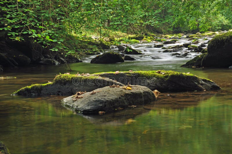 Tranquil Scene Majestic Waterfall Flows through Lush Tropical ...