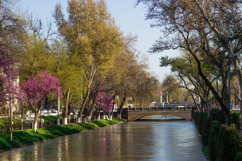 Spring in Tashkent stock photo. Image of cityscape, river - 69865206
