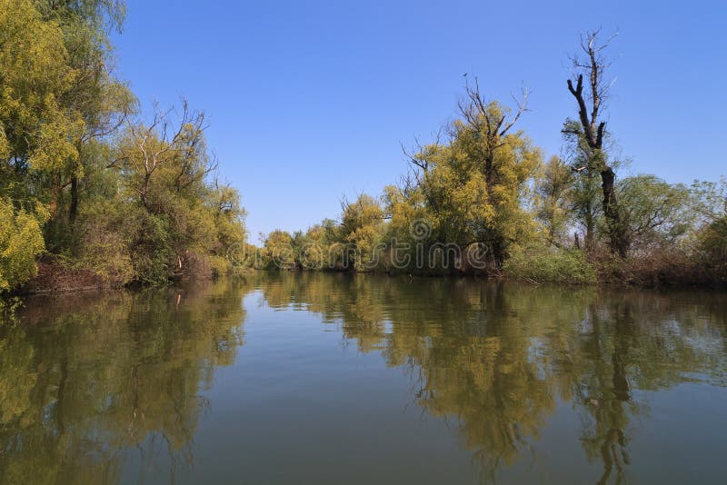 River channel stock image. Image of green, danube, wonderful - 18423717