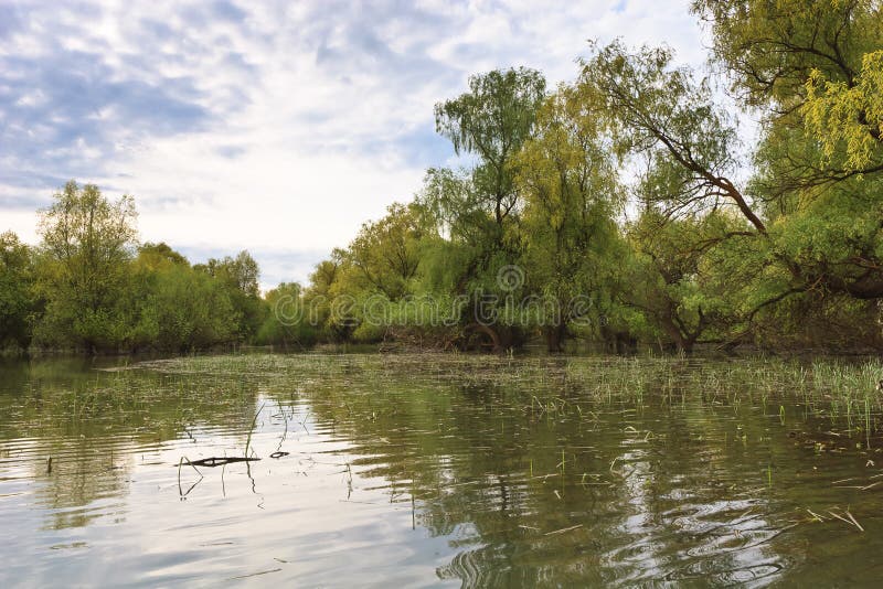 River channel stock image. Image of river, channel, reflection - 18726275