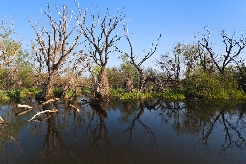 River channel stock image. Image of danube, irrigate - 18788321