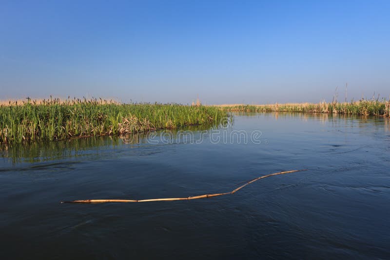 River channel stock photo. Image of green, outdoors, summer - 19343342