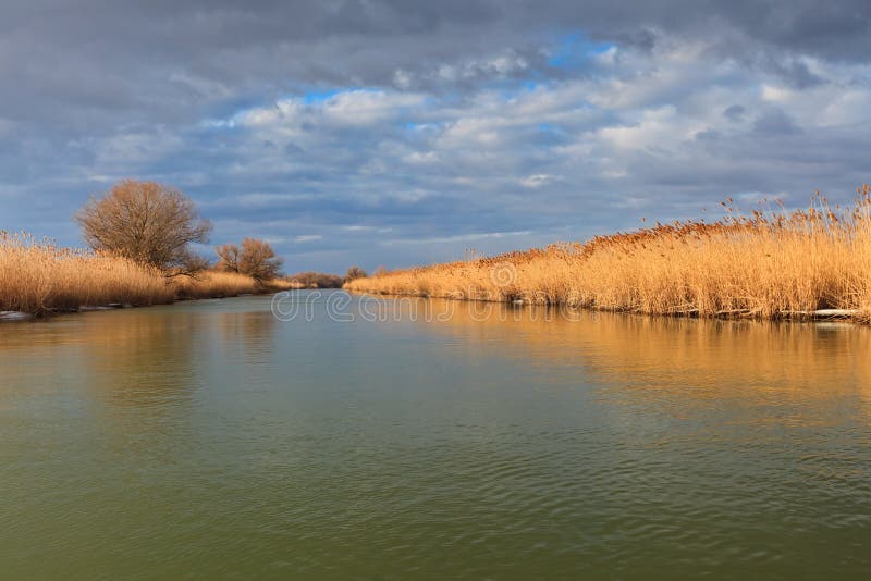 River channel stock photo. Image of romania, reservation - 23938808