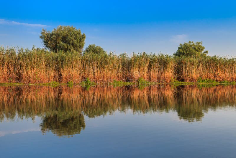 River channel stock photo. Image of water, delta, reflection - 33729358