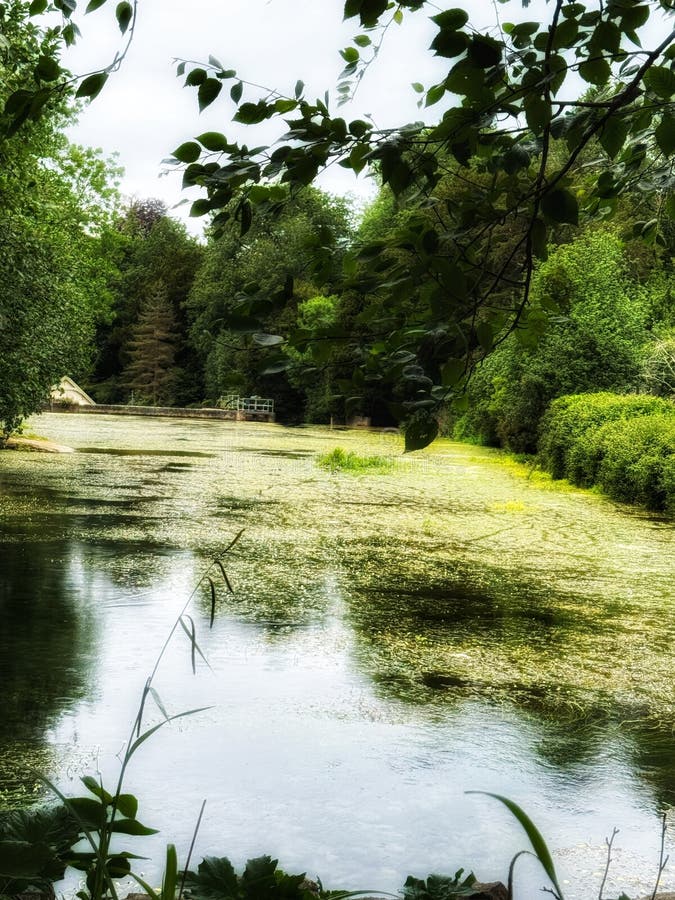 The river at Cheddar Gorge stock image. Image of spring - 385773681