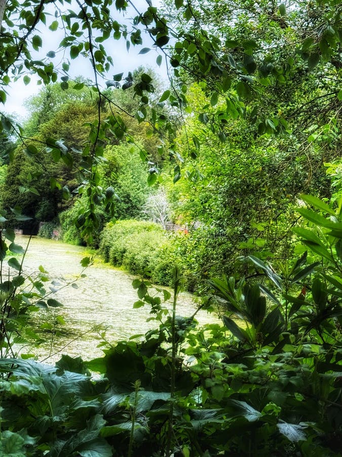 The river at Cheddar Gorge stock image. Image of scenery - 385773683