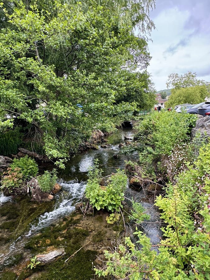 The river at Cheddar Gorge stock photo. Image of plant - 385774624