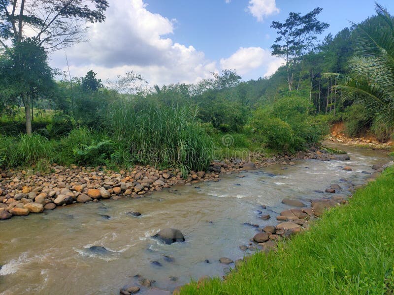 River in Cilacap Central Java Indonesia Stock Photo - Image of river ...